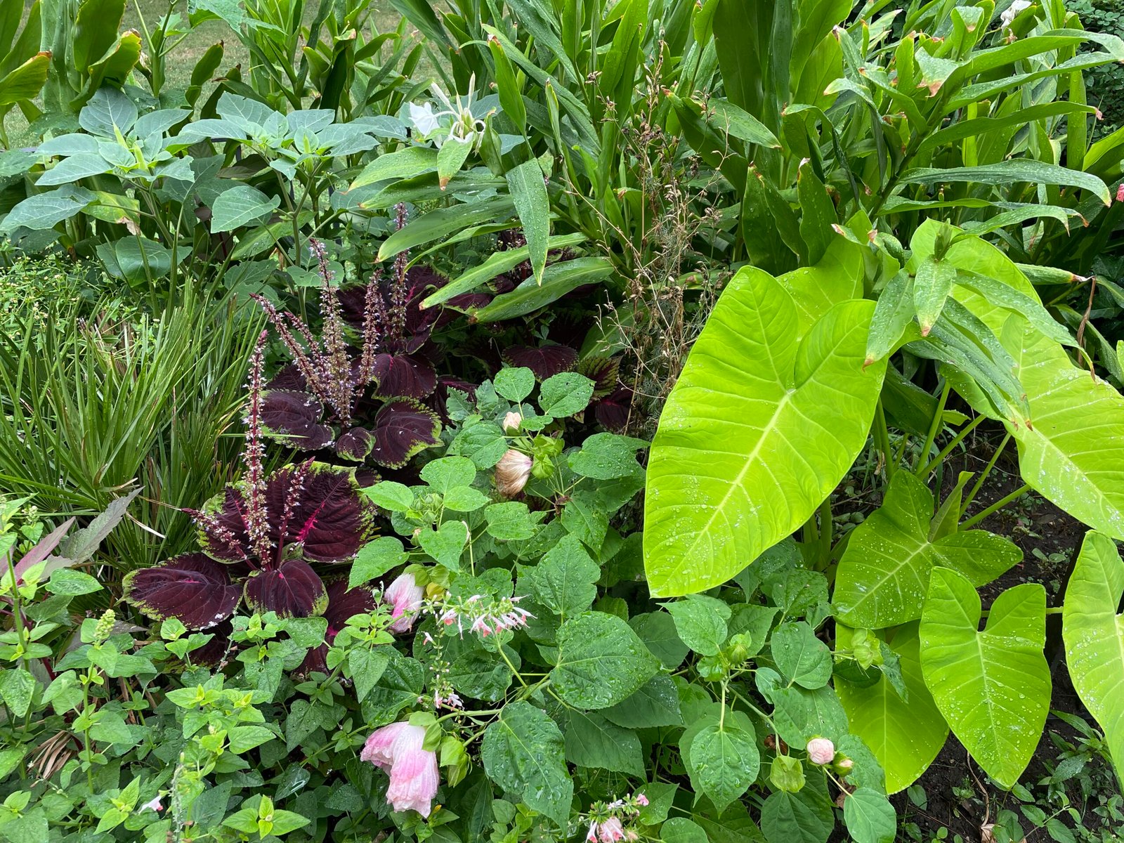 Embracing Sustainability: A Path to a Balanced and Thriving Future ...